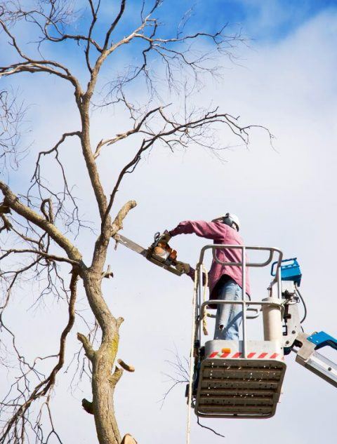 Aerial Lifts – Polygon Composites